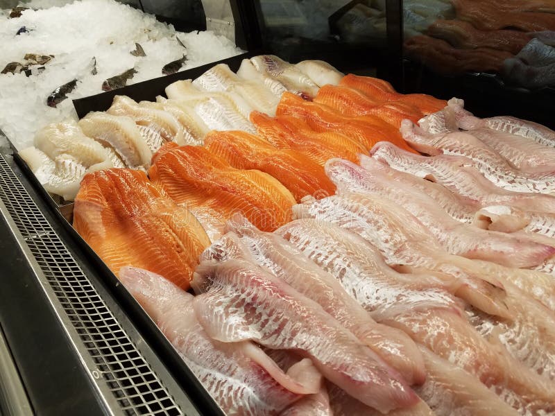 Seafood display case stock photo. Image of supermarket - 169801738