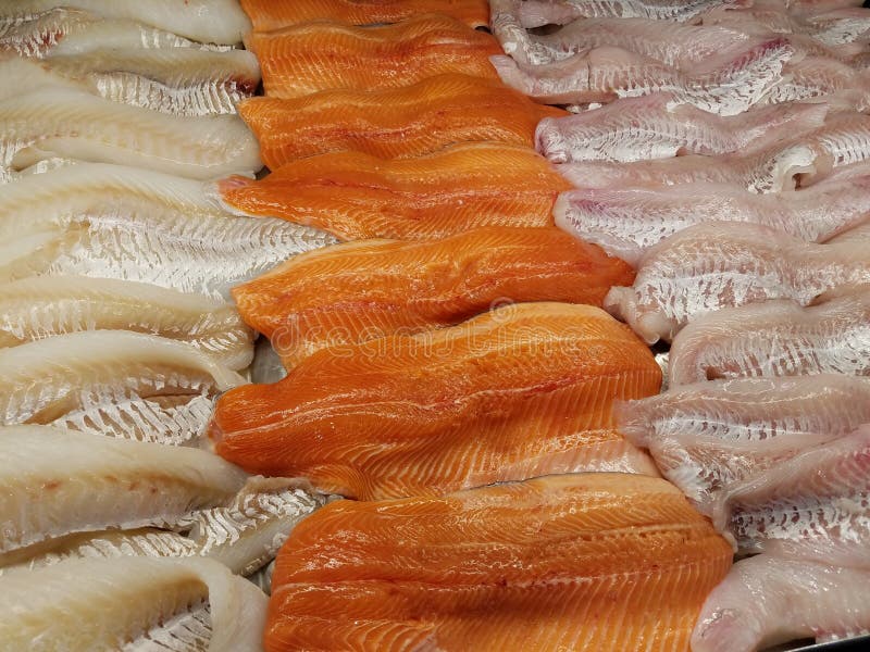 Seafood display case stock photo. Image of supermarket - 169801780