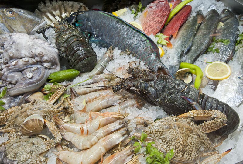 Seafood Display in a Restaurant Stock Image - Image of fishing, lobster ...