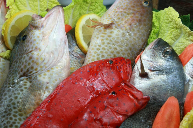 Seafood and fish stock photo. Image of selection, crack - 18416402