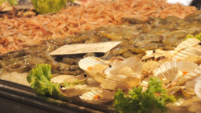 Seafood Fish Market. a Large Selection of Fish, Squid, Crabs, Shrimps ...