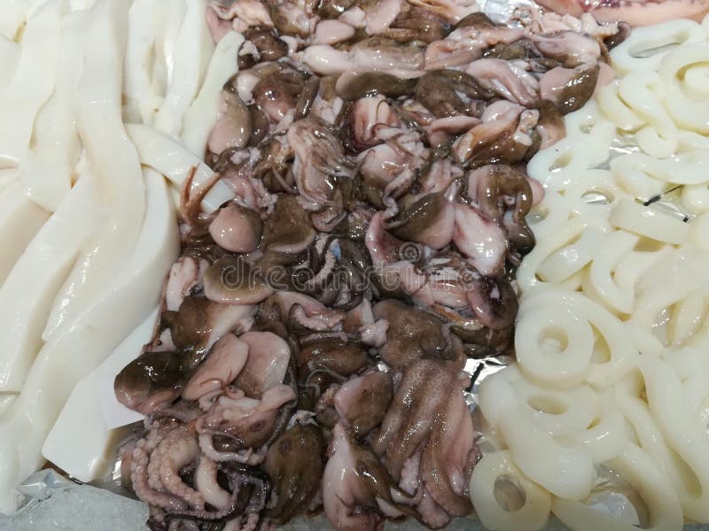 Raw Calamari (octopus) Seafood Stock Photo - Image of frozen, animals ...