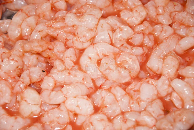 Seafood - Fresh Peeled Shrimp Stock Photo - Image of food, orange: 46308510