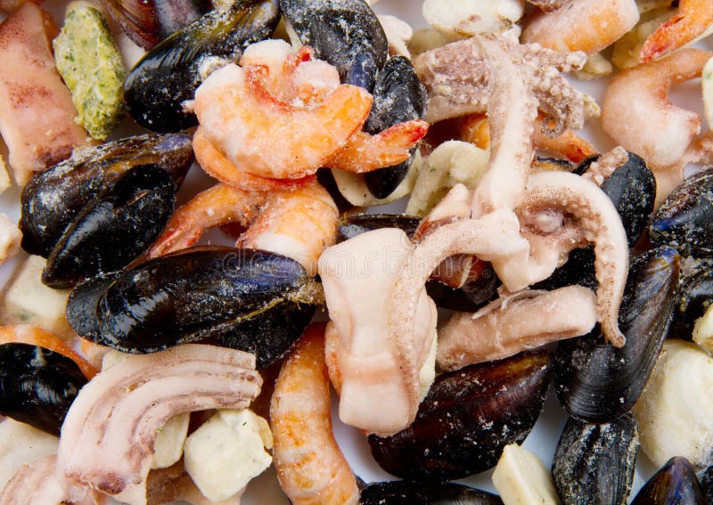 Seafood frozen stock image. Image of group, mussel, prawn - 80765933