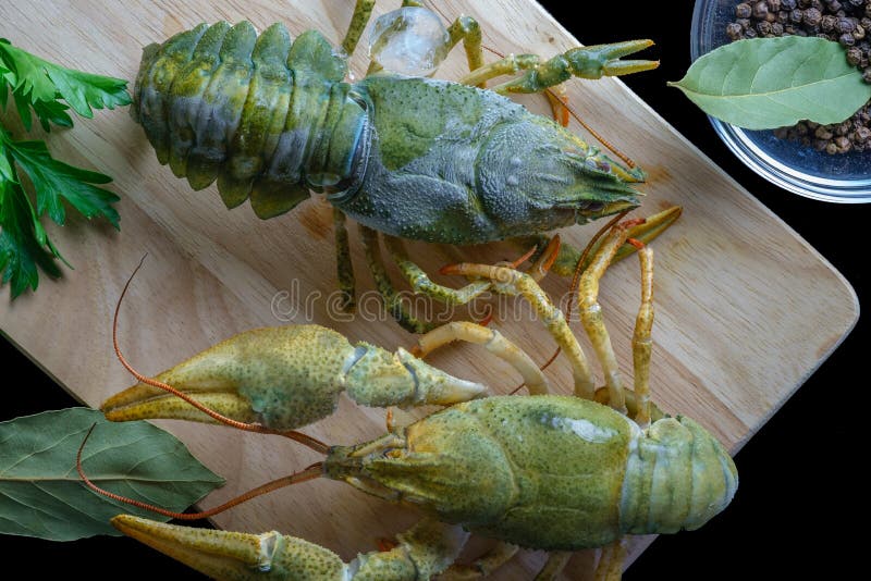 Green Crayfish. Caught from the River Stock Photo - Image of green ...