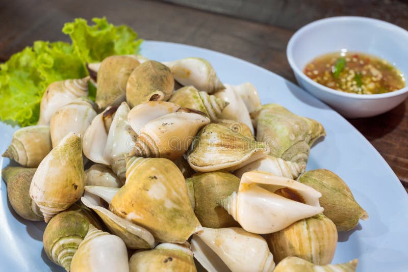 Seafood grill shell stock image. Image of conch, nature - 38303463