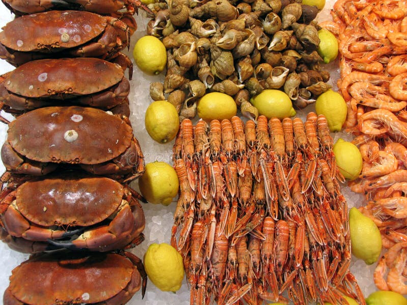 Heap Of Fresh Uncooked Seafood Stock Photo - Image of mariscos, product ...