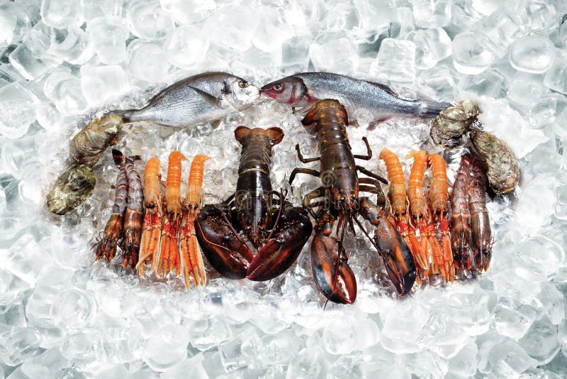 Seafood on ice stock image. Image of restauraunt, seafood - 1549205
