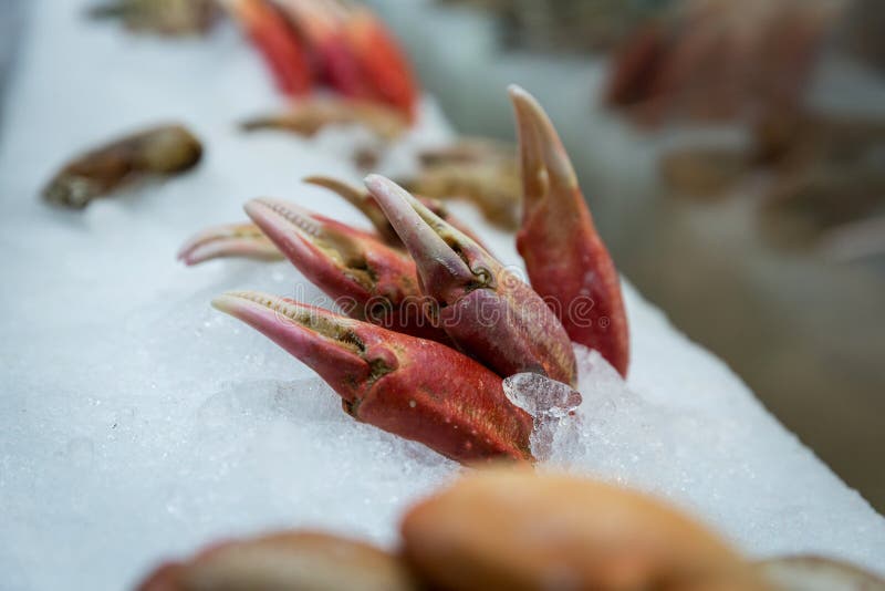 Seafood on Ice Base in Restaurant. Stock Image - Image of gastronomy ...