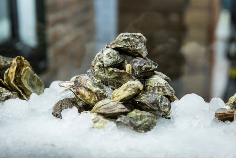 Seafood on Ice Base in Restaurant. Stock Photo - Image of fish ...