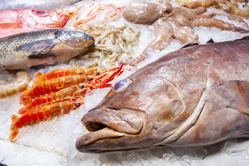 Seafood Ice at the Fish Market Stock Image - Image of food, fishmonger ...