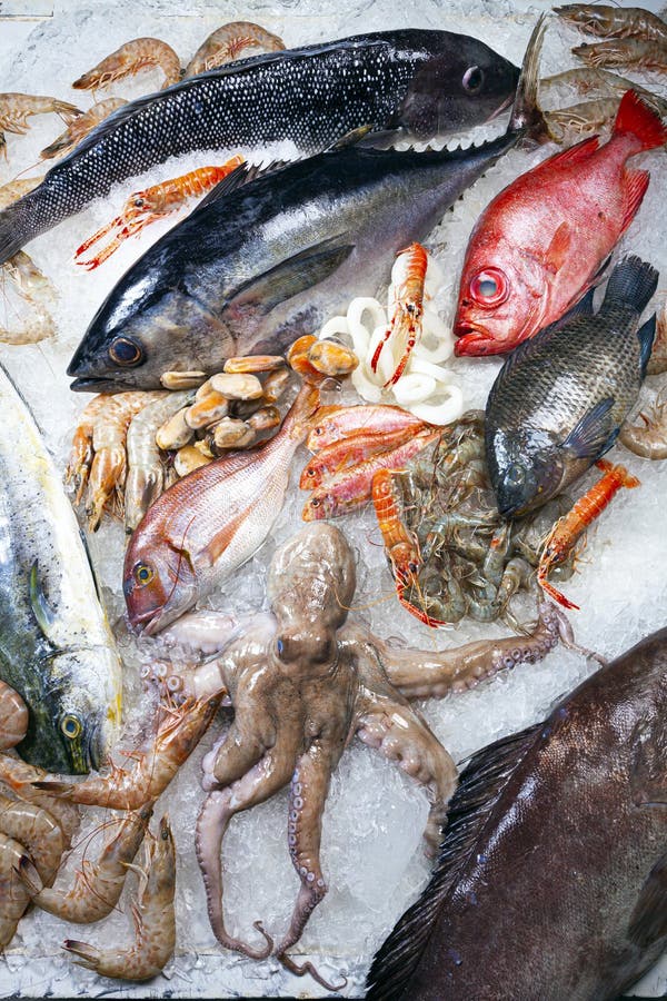 Seafood Ice at the Fish Market Stock Photo - Image of healthy ...