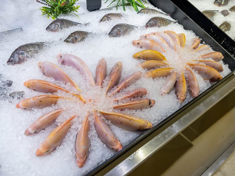 Seafood on Ice at the Fish Market Stock Photo - Image of saltwater ...