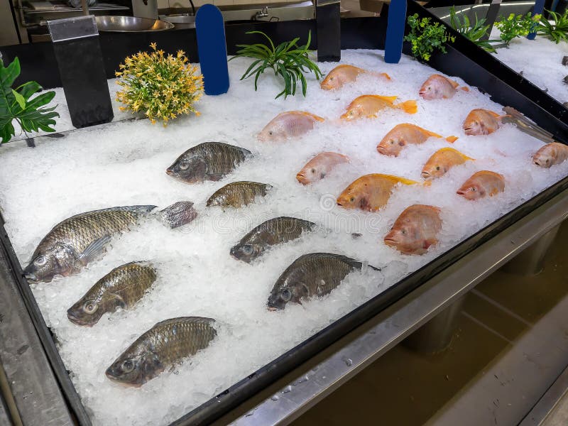 Seafood on Ice at the Fish Market Stock Photo - Image of industry, open ...