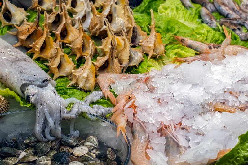 Seafood on Ice at the Fish Market Stock Image - Image of closeup ...