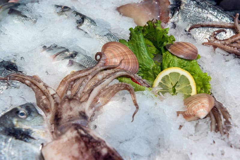 Seafood on Ice at the Fish Market Stock Photo - Image of eating ...