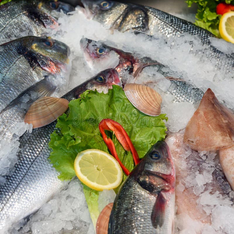 Seafood on Ice at the Fish Market Stock Image - Image of industry ...
