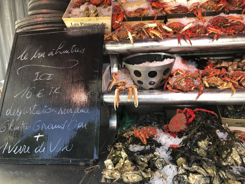 Seafood on ice stock image. Image of mediterranean, razor - 123484217