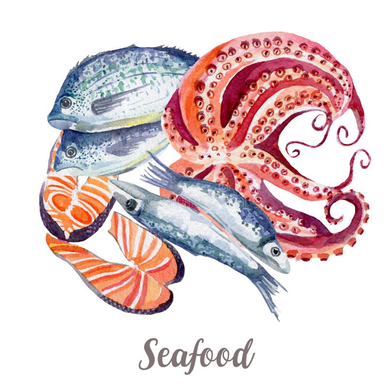 Seafood Illustration. Hand Drawn Watercolor on White Background. Stock ...
