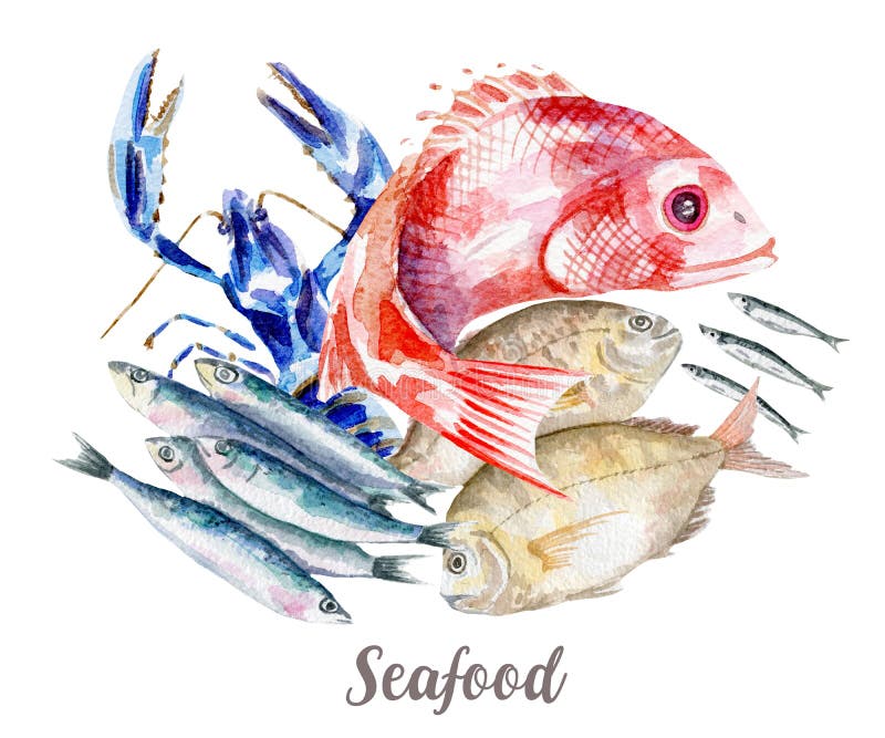 Seafood Illustration. Hand Drawn Watercolor on White Background. Stock ...