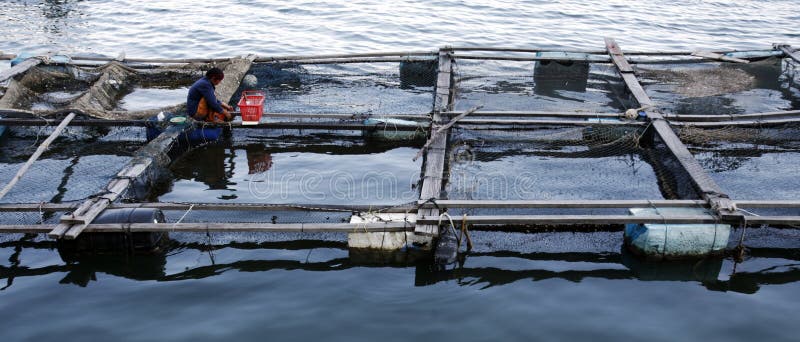 Seafood industry stock image. Image of nets, fish, water - 2143299