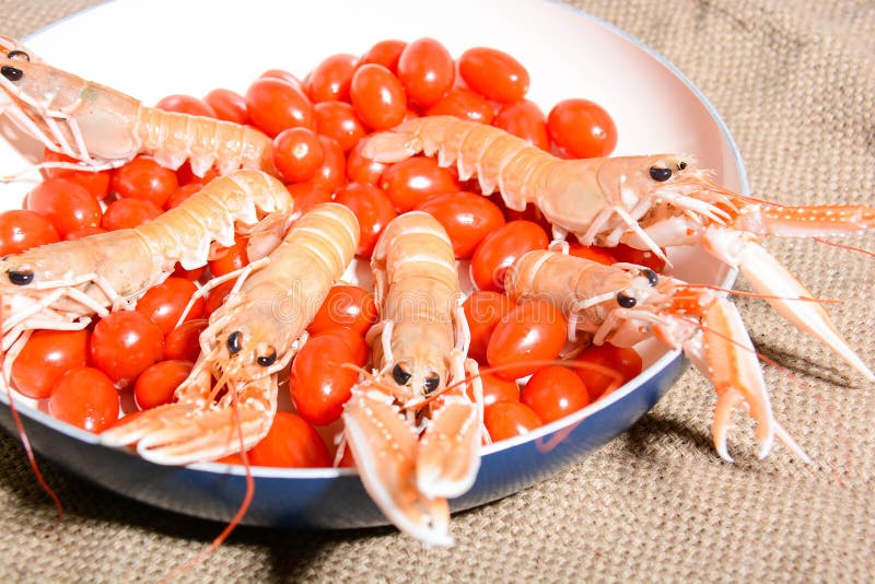 Seafood italian cuisine stock image. Image of seafood - 83065573