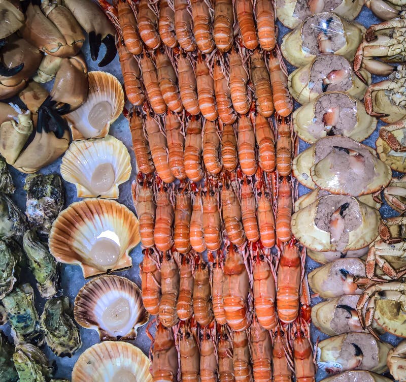 Seafood at the Market in Bergen, Norway Stock Image - Image of animal ...