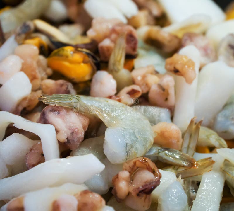 Seafood Mix. stock image. Image of marine, mollusk, cuisine - 173495001
