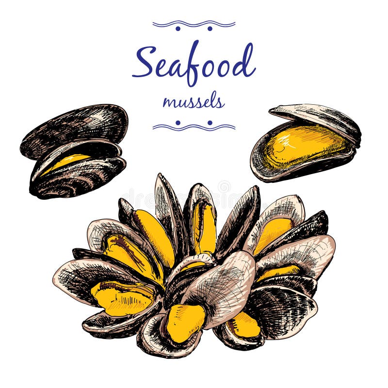 Mussels Stock Illustrations – 4,109 Mussels Stock Illustrations ...
