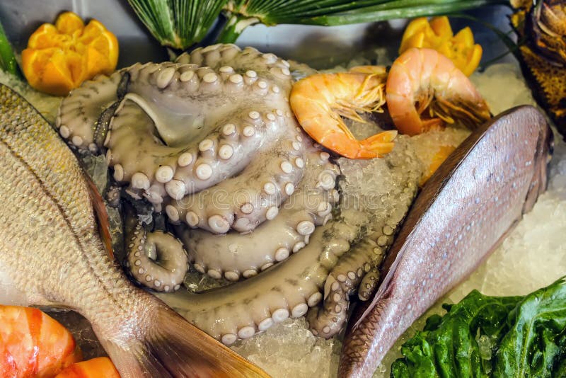 Seafood: Octopus and Fishes Stock Image - Image of shrimp, prawns: 77007859