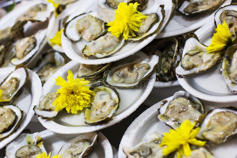 Seafood, Oyster (shellfish) Stock Image - Image of shell, cooked: 28366861