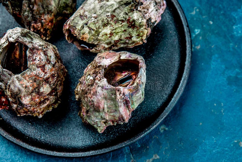 SEAFOOD PICOROCO. Austromegabalanus Psittacus, the Giant Barnacle or ...