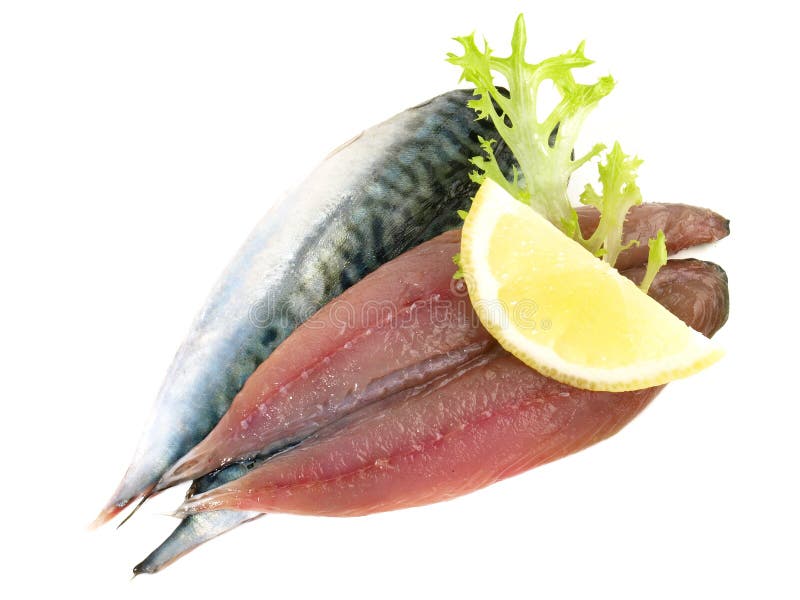 Seafood - Pilchard Fillet - Fish Isolated on White Background Stock ...