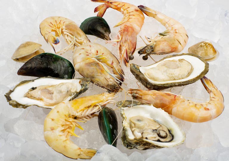 Seafood stock photo. Image of excellent, mediterranean - 34615706