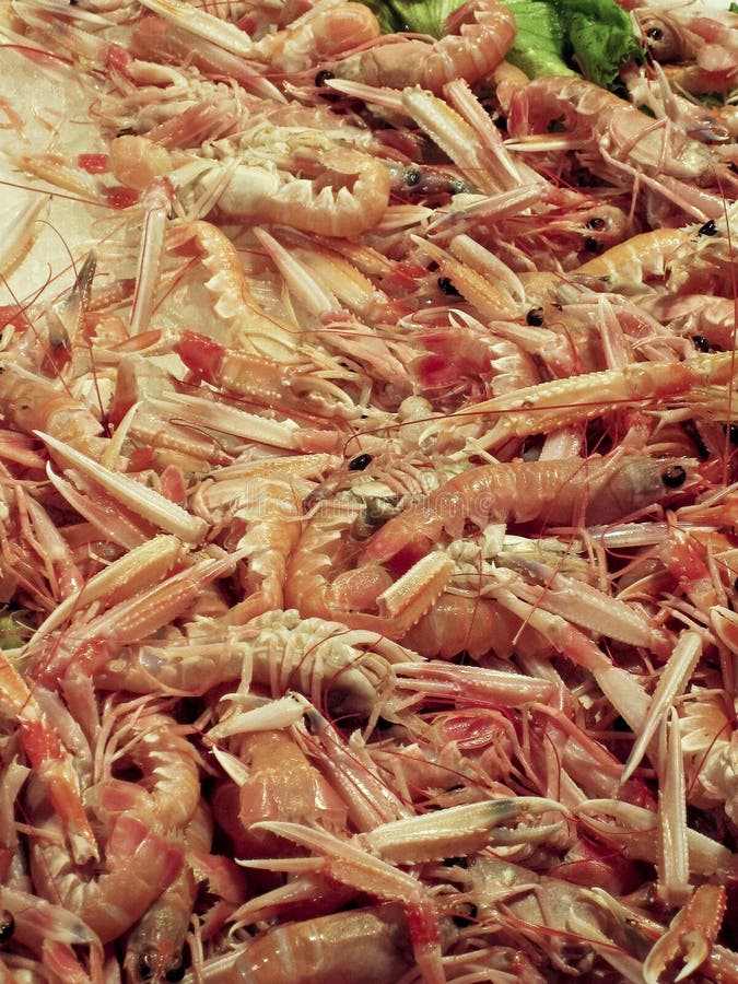 Seafood stock photo. Image of crabs, crayfish, italian - 39550286