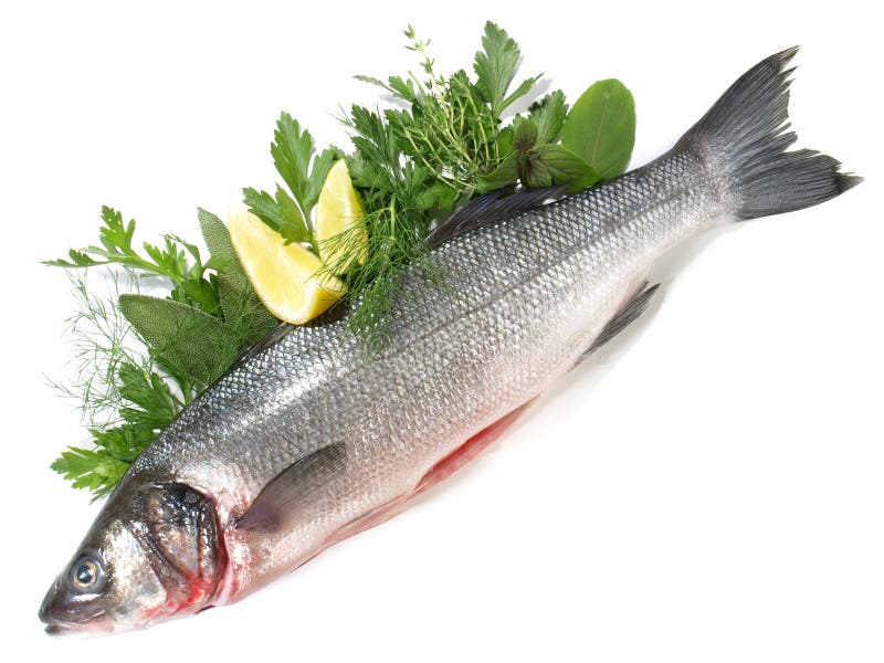 Sea Wolf - Fish Fillet with Salad Stock Image - Image of fresh, italian ...