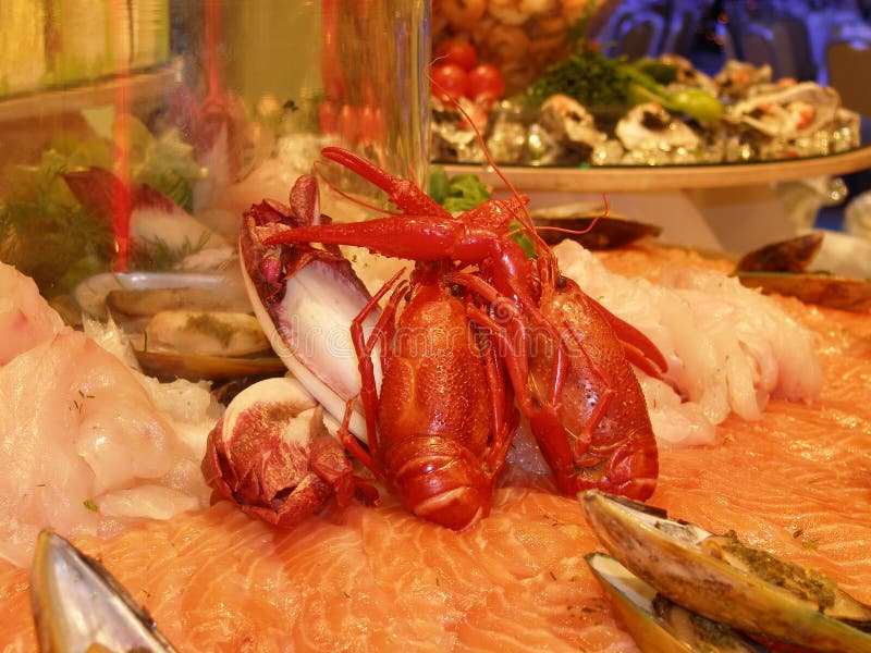 Seafood selection stock photo. Image of dinner, cuisine - 496352