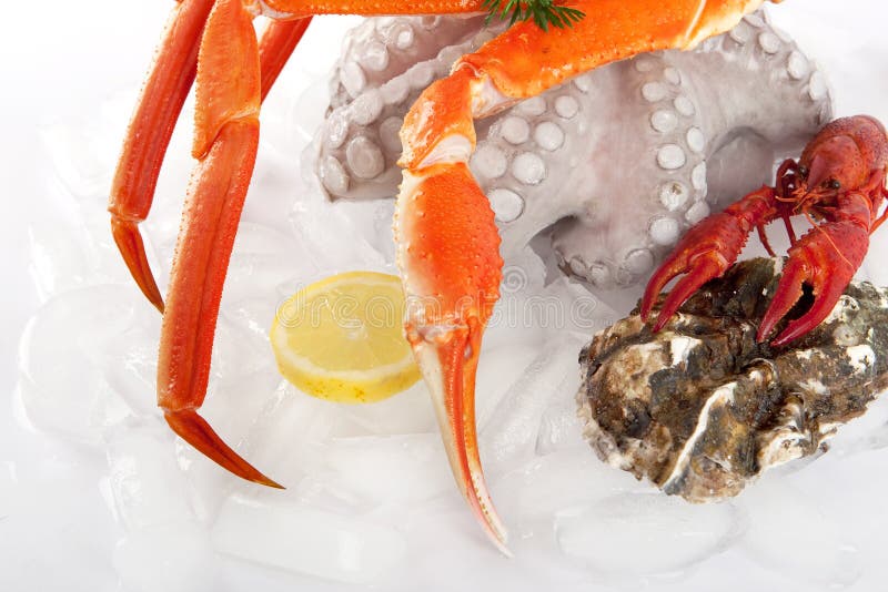 Seafood served on ice stock image. Image of cuttlefish - 14037053