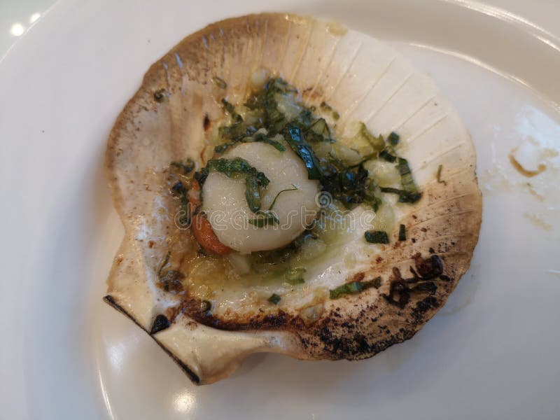 A Seafood Set, Grilled Shell with Butter and Herb. Stock Photo - Image ...