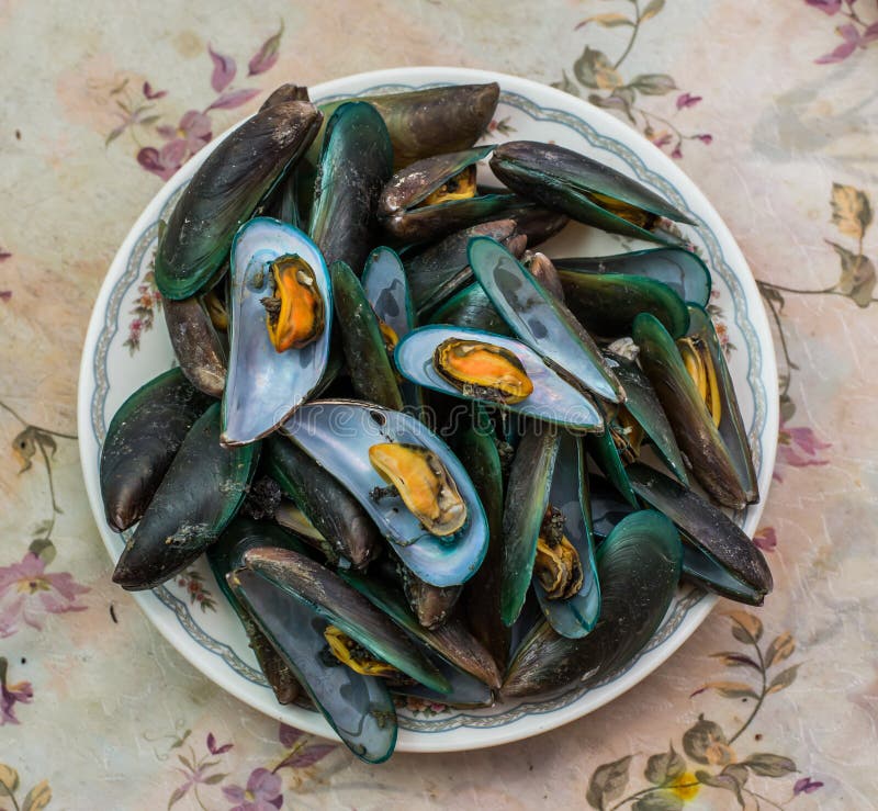 Seafood stock image. Image of restuarant, diet, dinner - 57118525