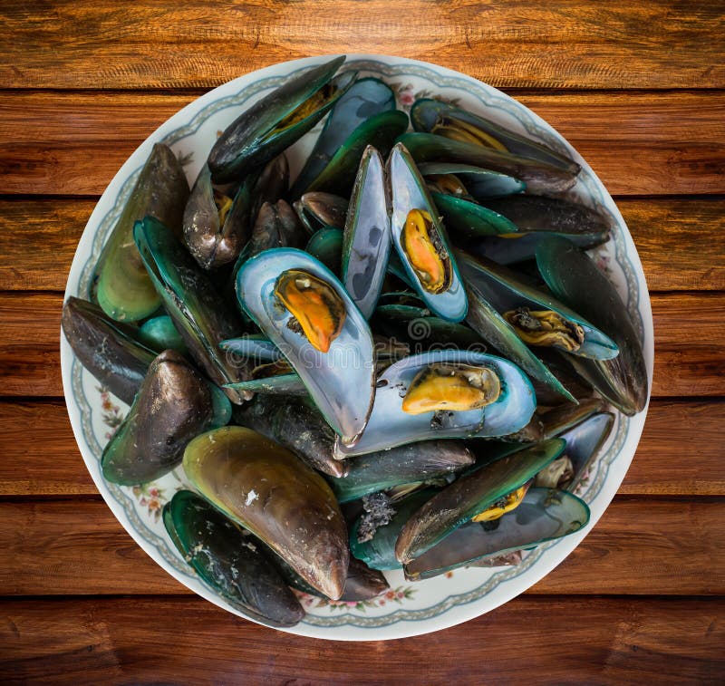 Steamed Shellfish stock photo. Image of white, dinner - 62235566