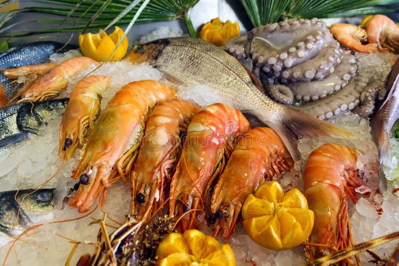 Shrimp in fish market stock photo. Image of mound, fresh - 79967316