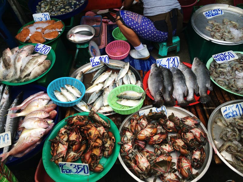 Seafood stall editorial photography. Image of fish, market - 49415792