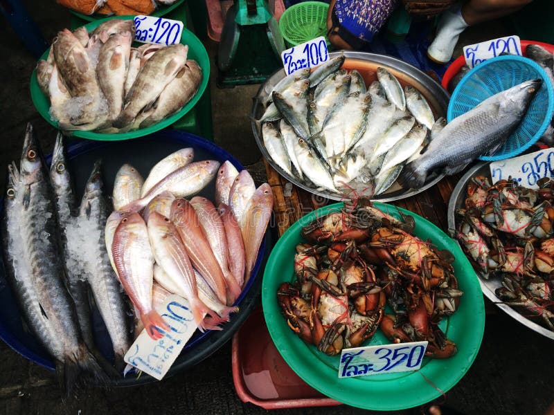 Seafood stall stock image. Image of stall, market, seafood - 49417005