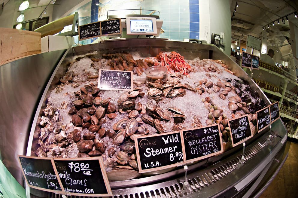 Seafood stand editorial stock photo. Image of scalopes - 26161088