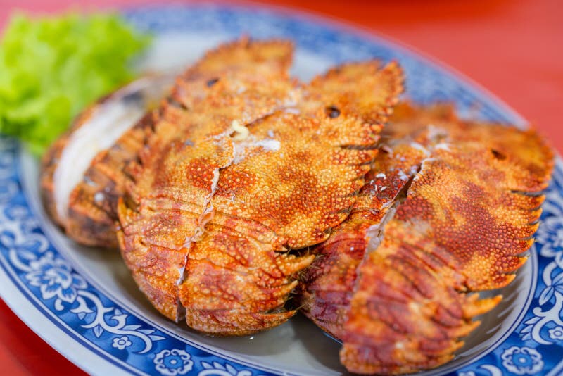 Latus Dish Stock Photos - Free & Royalty-Free Stock Photos from Dreamstime