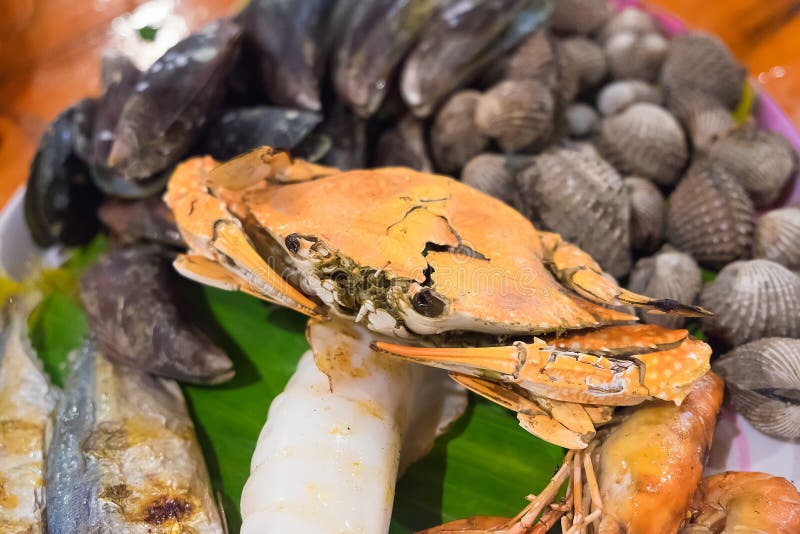 Seafood on white dish, stock image. Image of sauce, prawn - 73258549