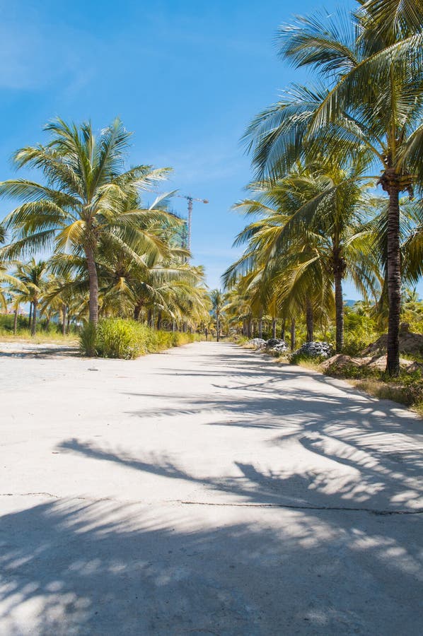 Seafront promenade stock photo. Image of suntan, sunlight - 78971740