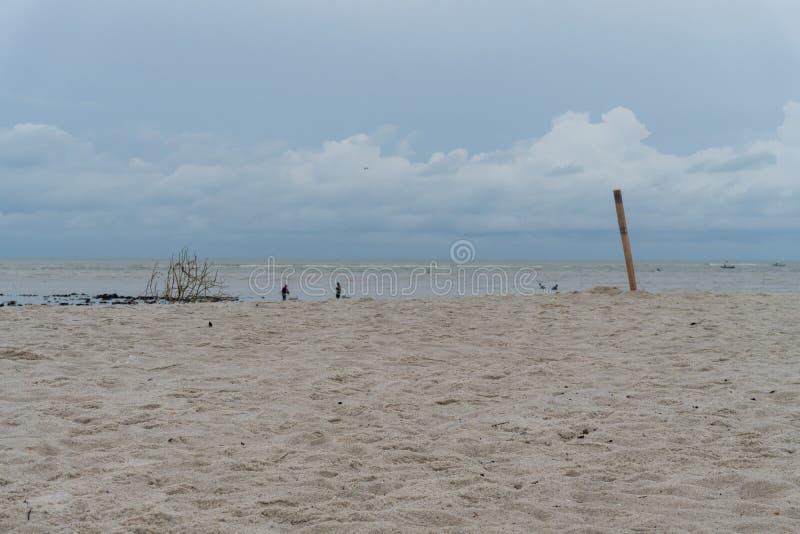 Seafront View with White Sandy Beaches in the Middle of Nature Stock ...