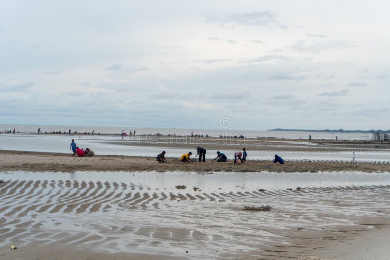 Seafront View with White Sandy Beaches in the Middle of Nature Stock ...